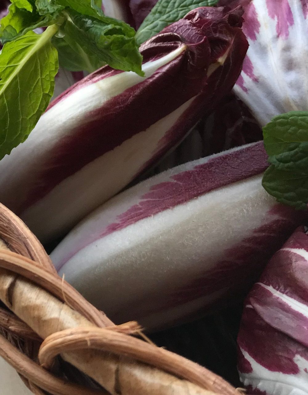 Stuffed Radicchio Antipasto - An Italian dish